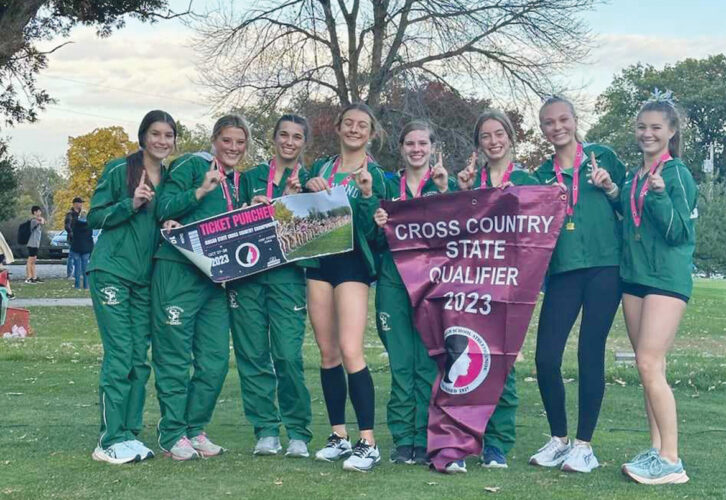 Gael girls claim district title | News, Sports, Jobs - Messenger News